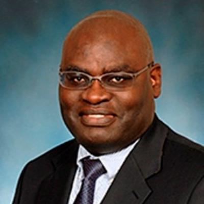 Professor Clement Adebamowo | Infectious Diseases Data Observatory