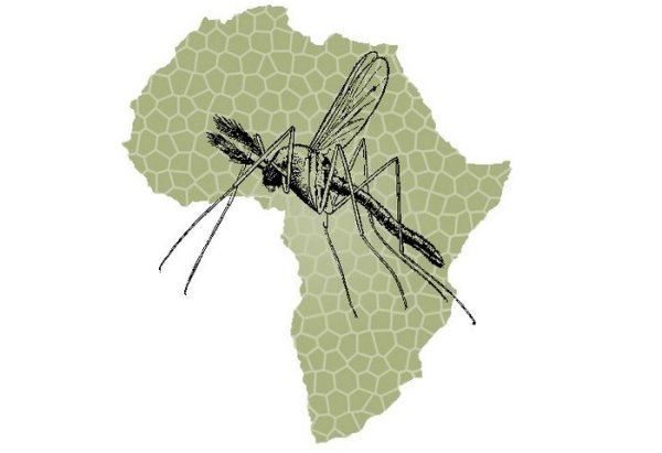 Historical trends reveal a pathway for predictive analysis | Infectious ...